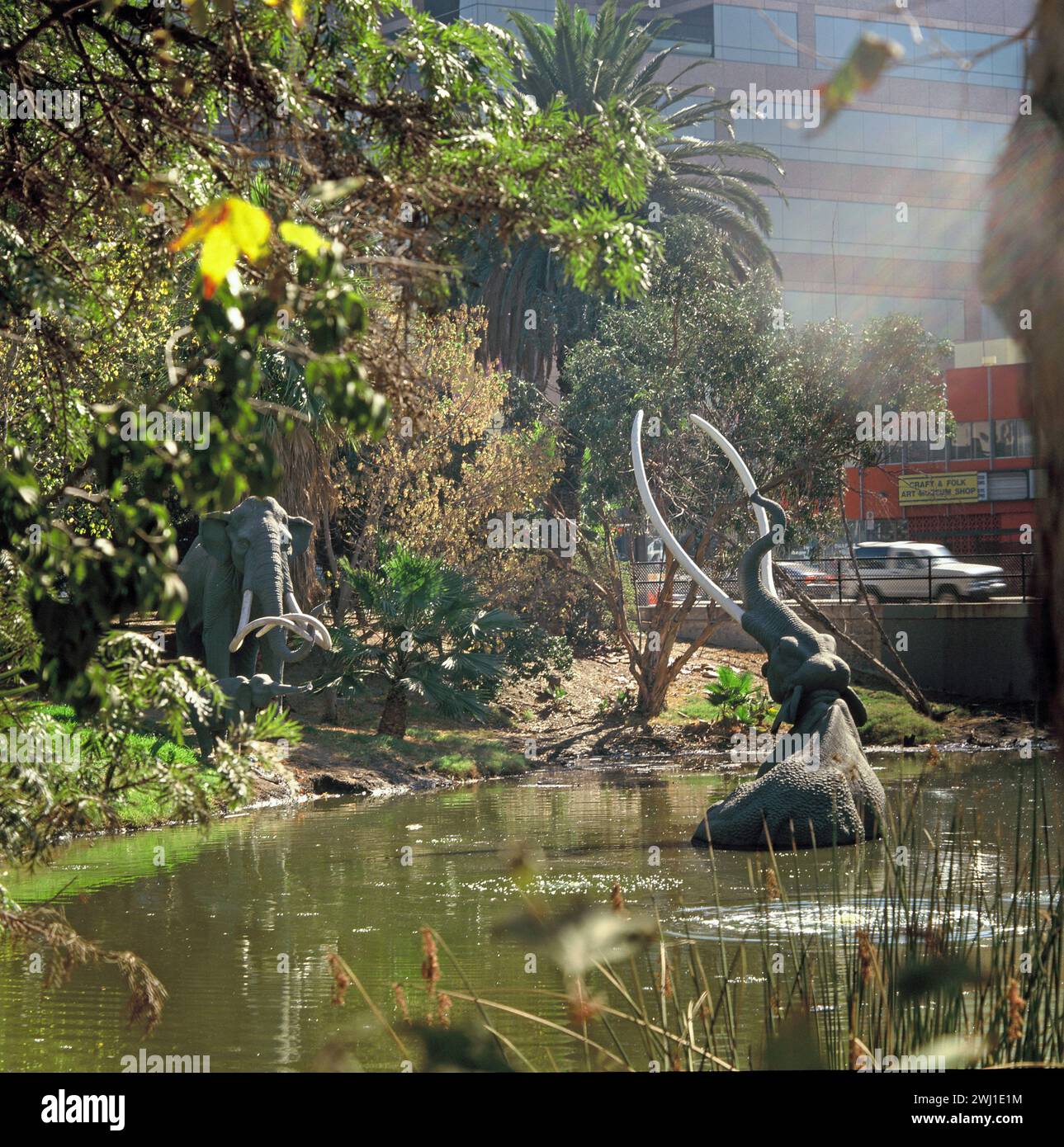USA. California. Los Angeles. La Brea Tar Pits. Life-sized models of ...