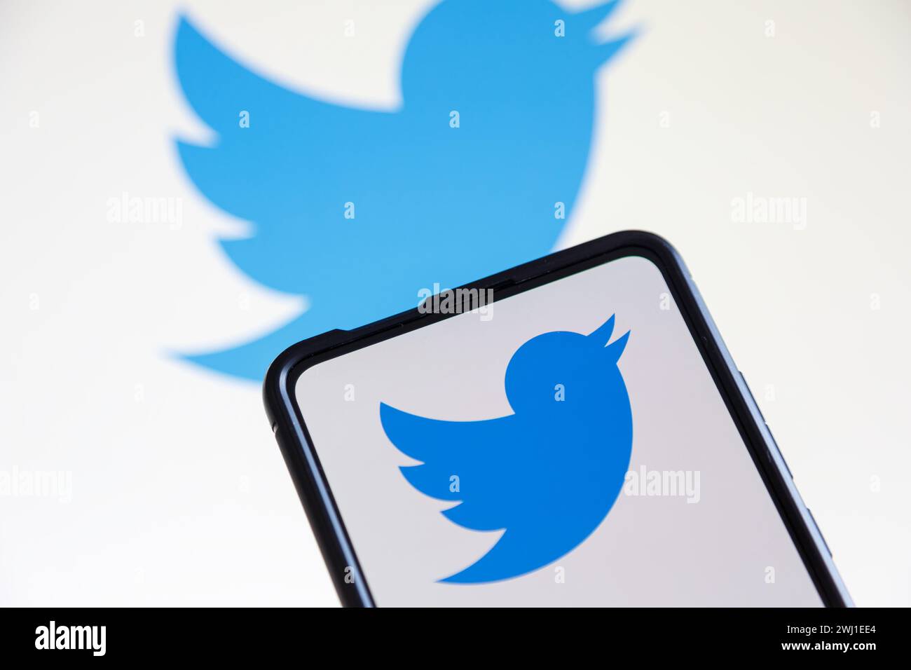 Twitter logo social media on a cell phone and computer screen Stock ...