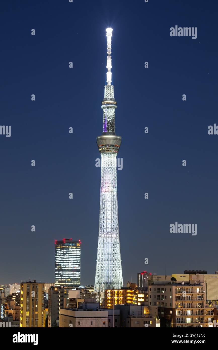 Tokyo SkyTree tower with the skyline skyscrapers at night portrait in ...