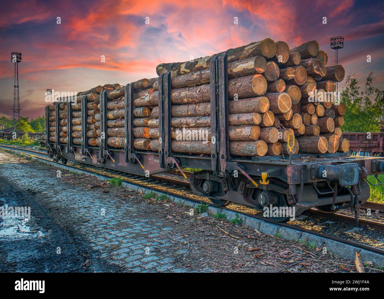 Freight train loaded with logs in the sunset Stock Photo - Alamy