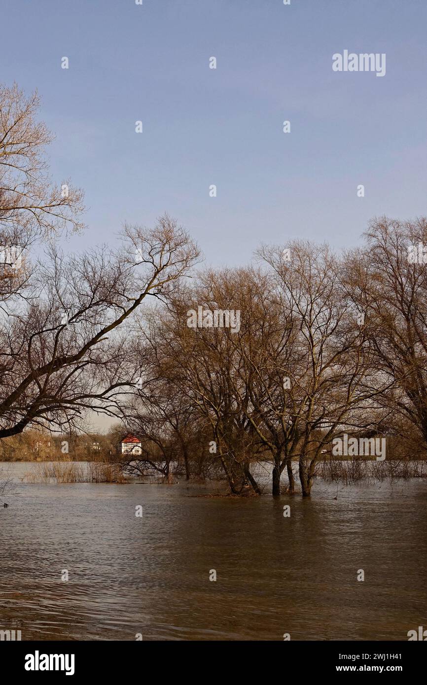 Vertical shot river surrounded trees hi-res stock photography and ...