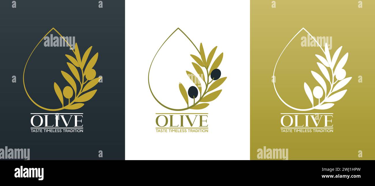 Vector logo of olive branch with leaves. Modern hand drawn vector olive oil icons. Branding ...