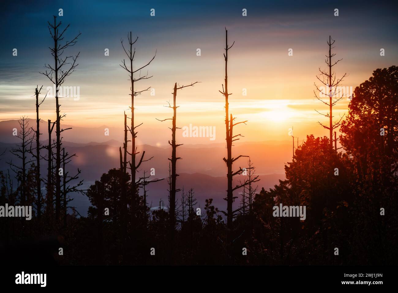 Nevado de colima national park hi-res stock photography and images - Alamy