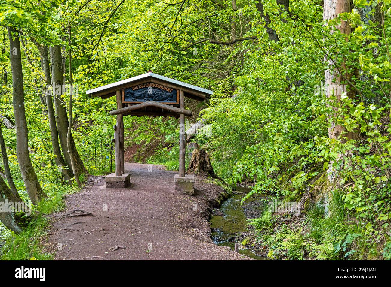 Hiking in the Dragon Gorge Eisenach Thuringia Stock Photo - Alamy