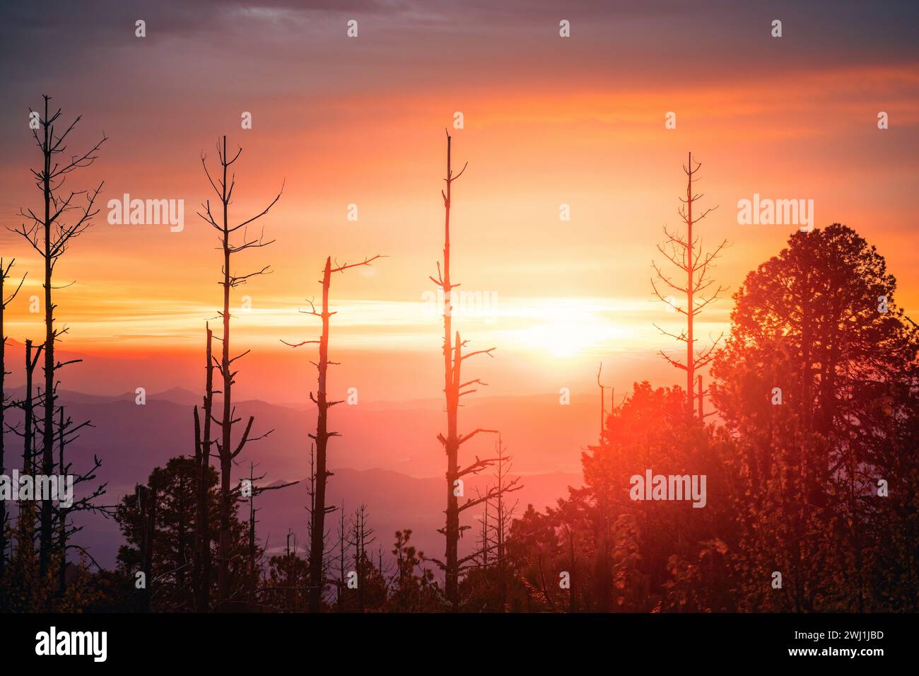 A Sunset with tree silhouettes in Nevado de Colima National Park Stock ...