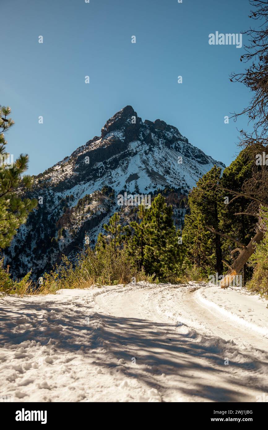 Nevado de colima national park hi-res stock photography and images - Alamy