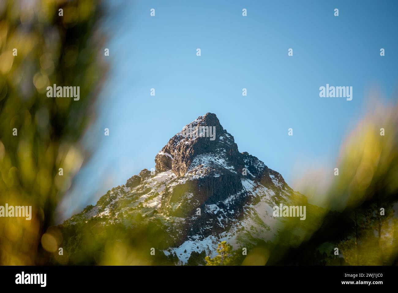 Nevado de colima national park hi-res stock photography and images - Alamy