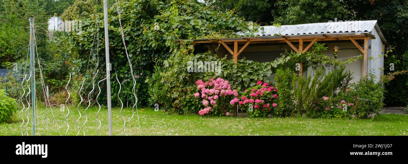 Building a bower hi-res stock photography and images - Alamy