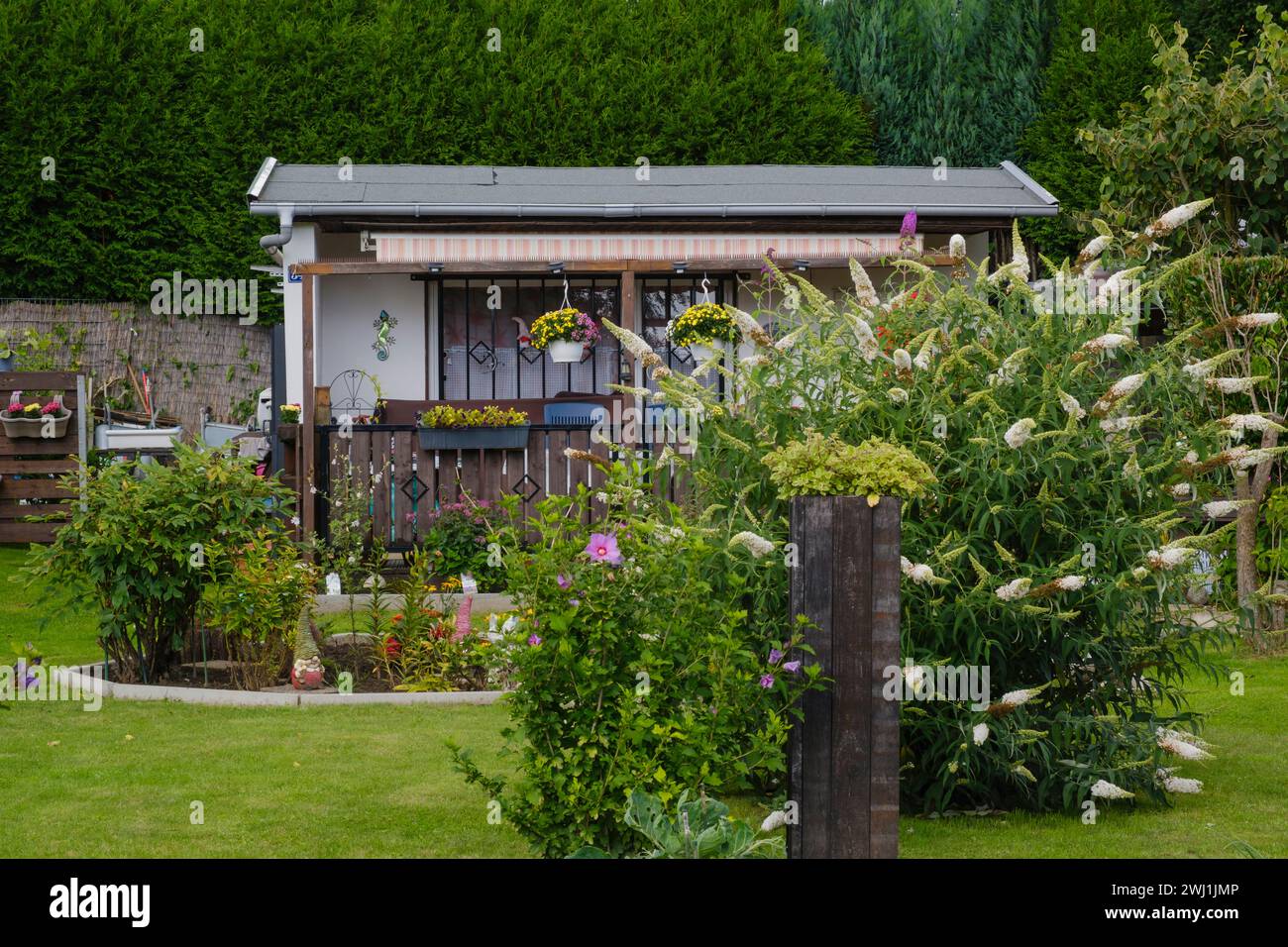 Building a bower hi-res stock photography and images - Alamy