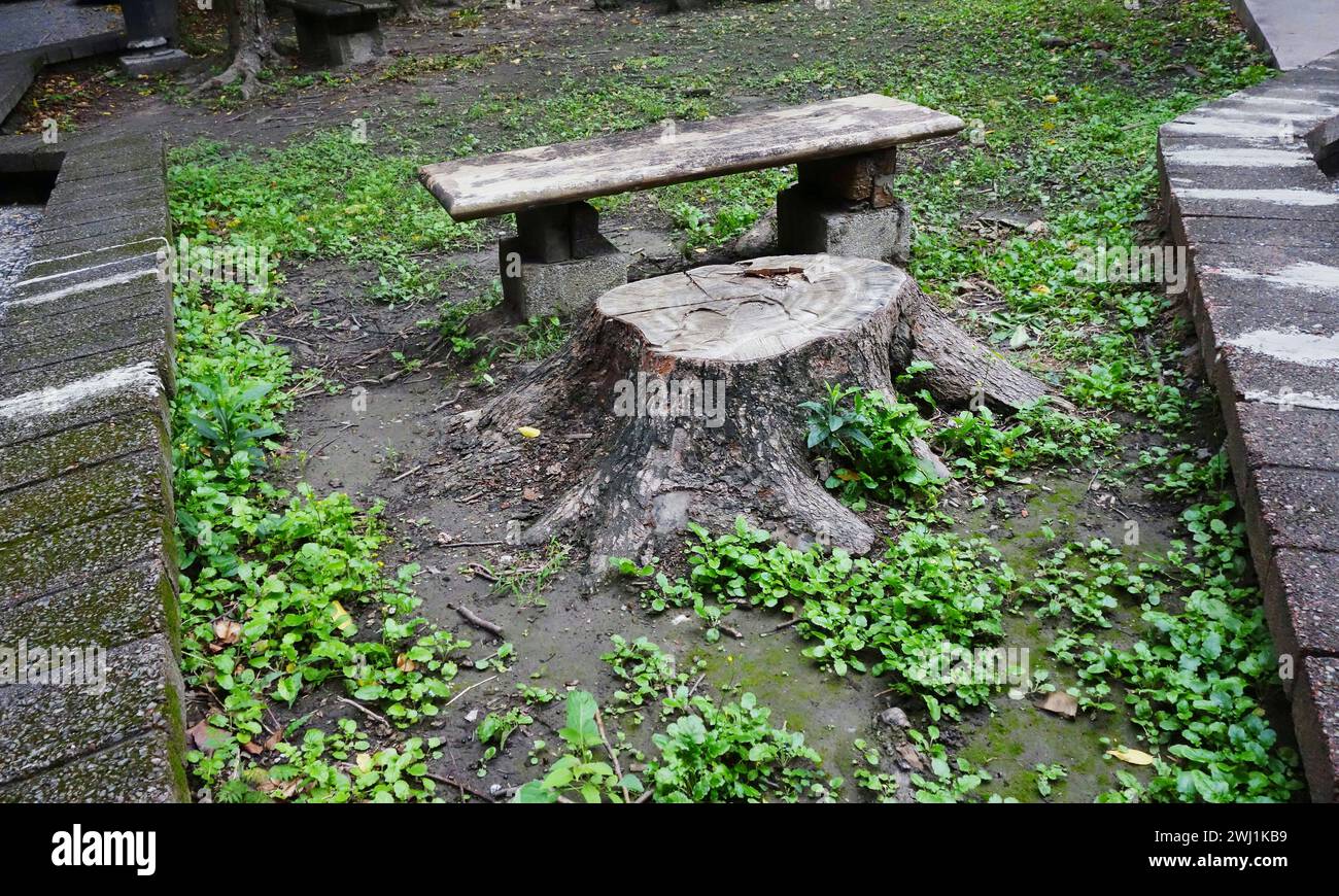 Park benches made dry hi-res stock photography and images - Alamy