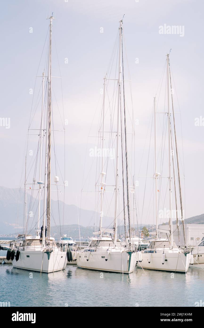 Sailing yachts are moored in a row in the port Stock Photo - Alamy