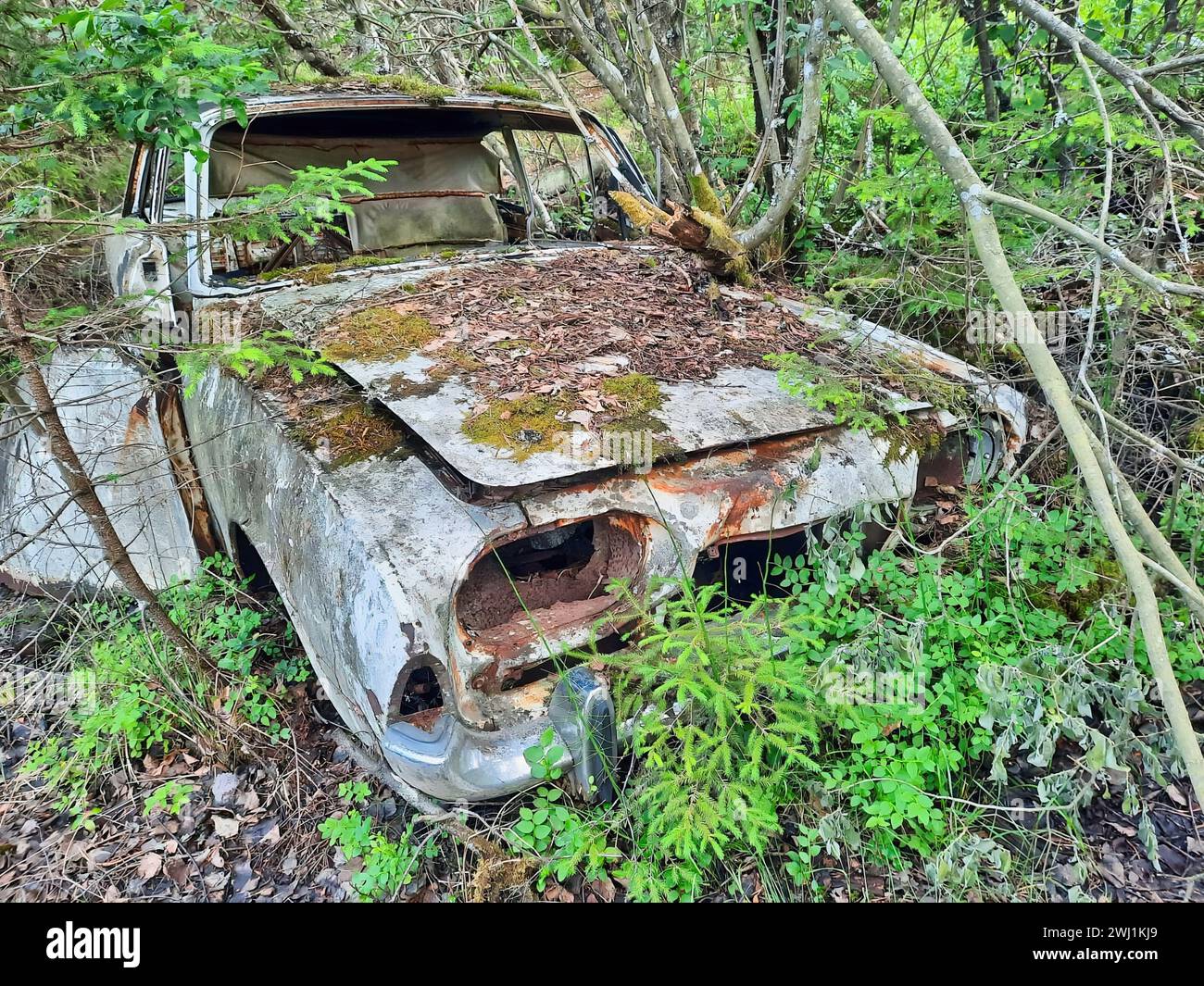 Car graveyard hi-res stock photography and images - Alamy