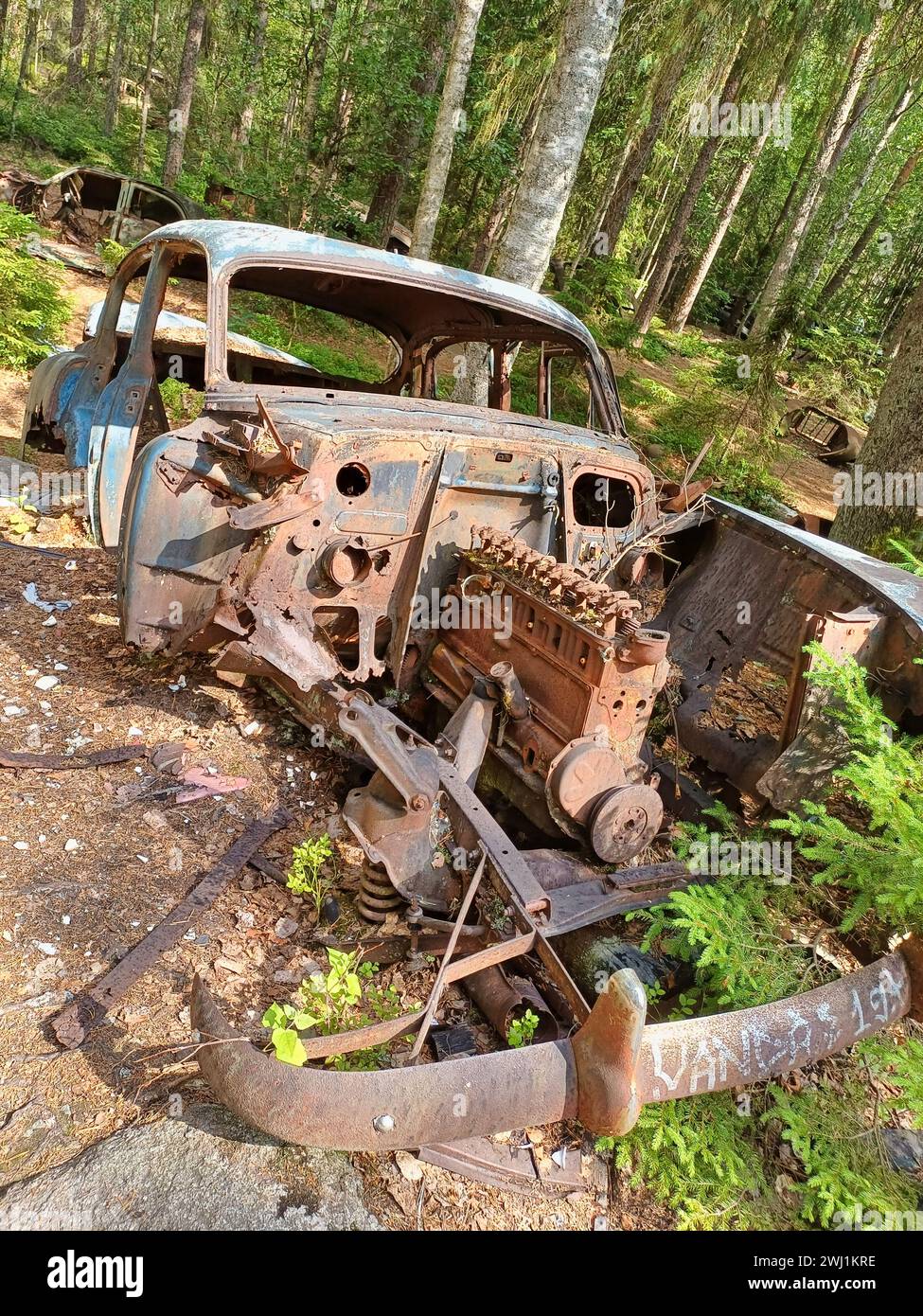 Car graveyard in a forest in Sweden as a symbol that nature is taking ...