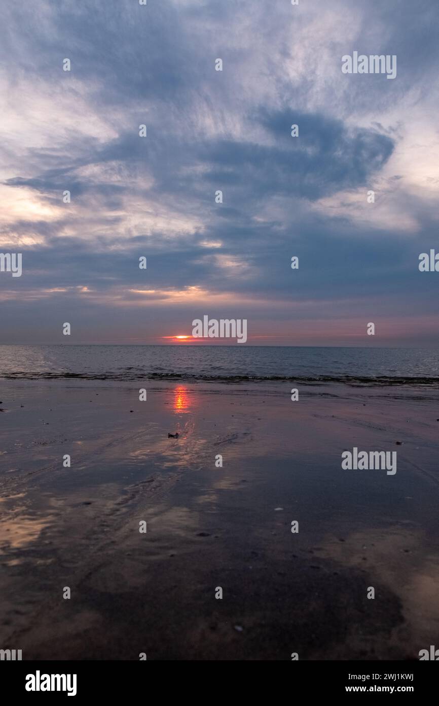 Calm yet introspective hi-res stock photography and images - Alamy