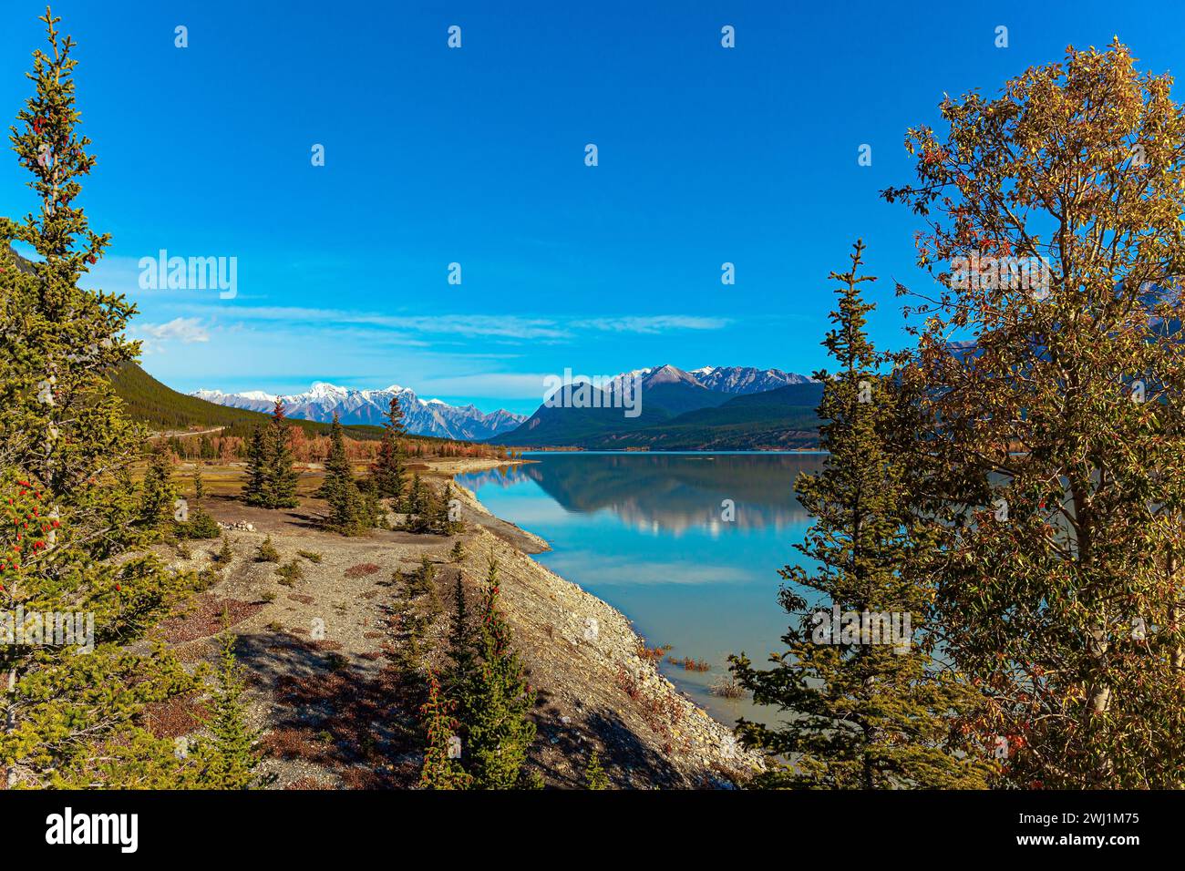 Artificial evergreen foliage hi-res stock photography and images - Alamy