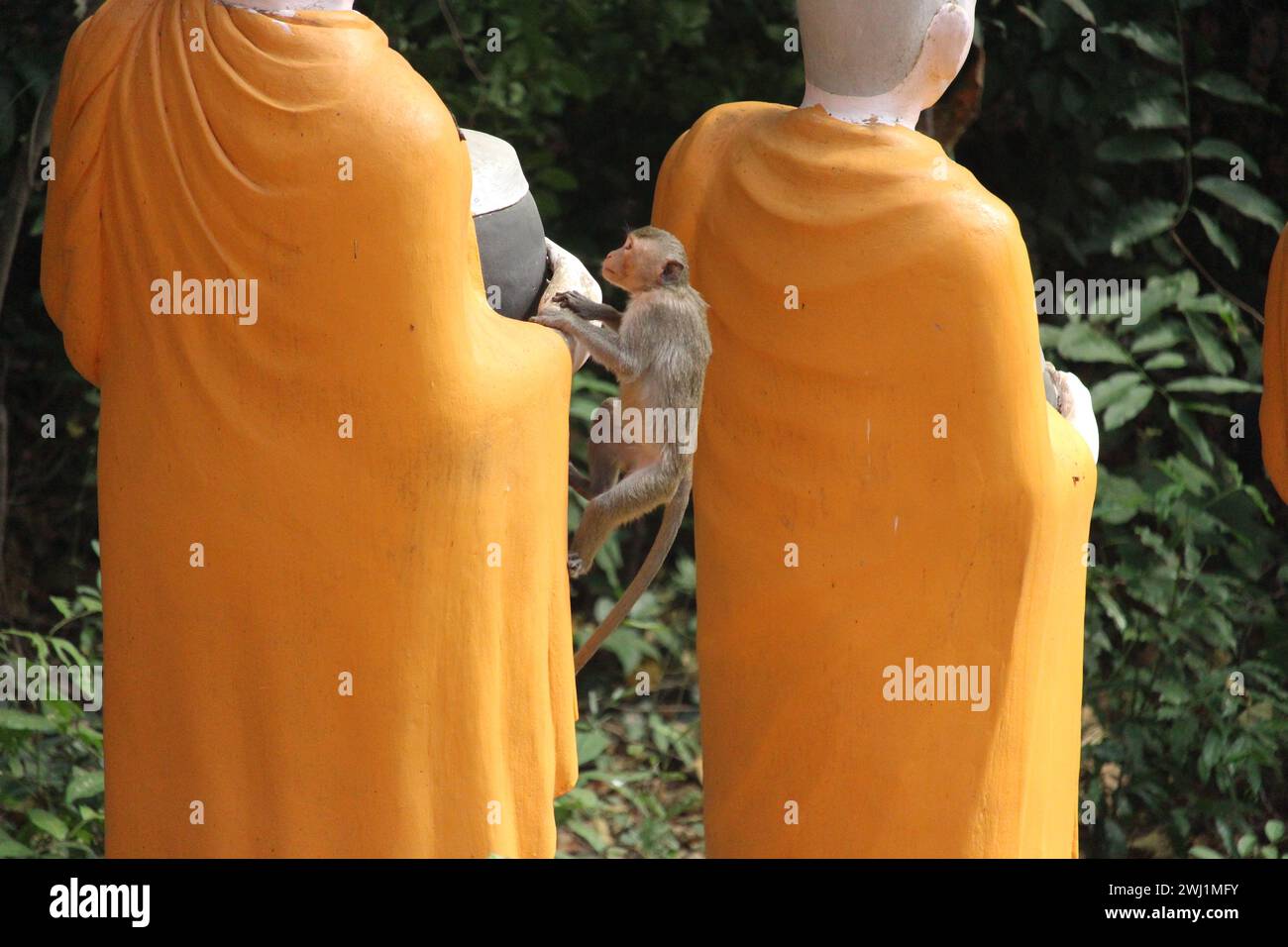 Macaque climbing a Buddha statue on Sambok Hill in the Kratie region of ...