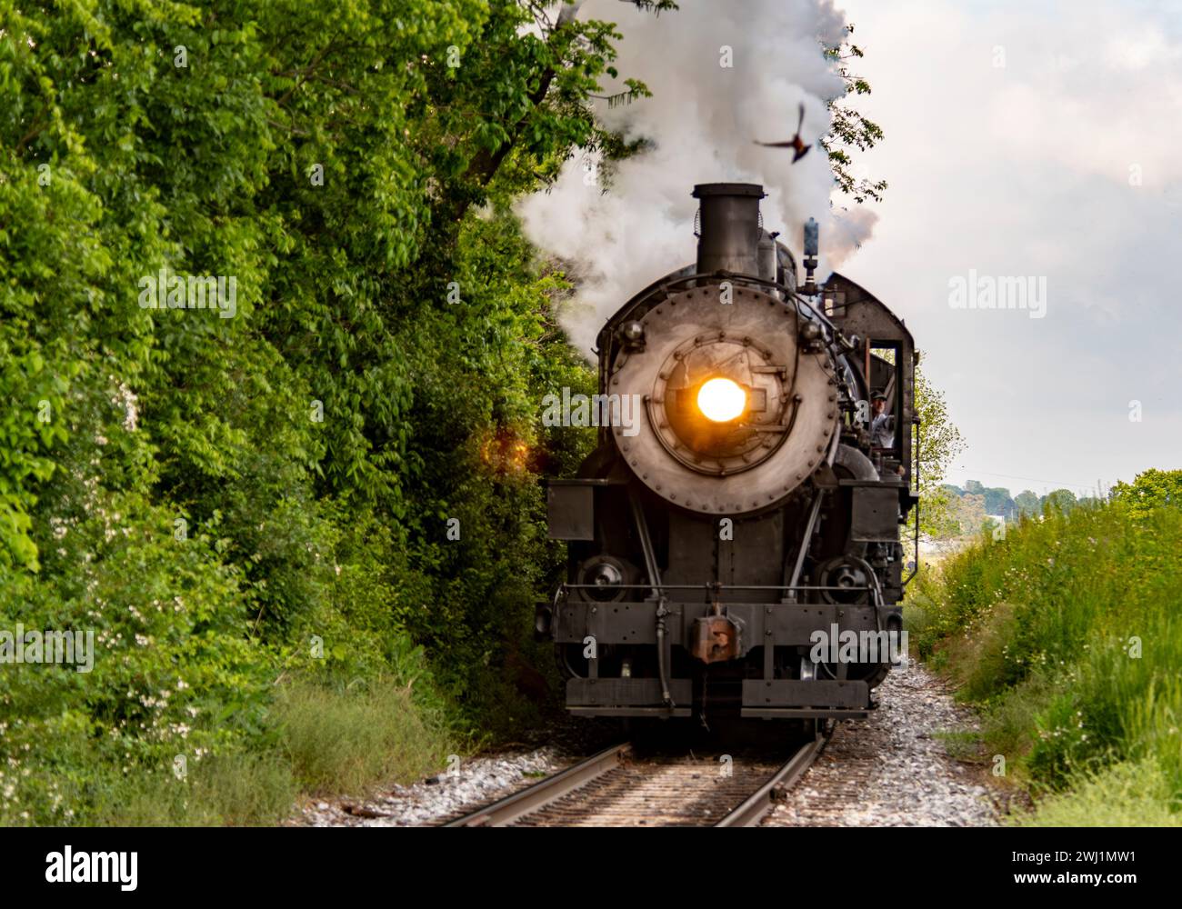 Catching shot hi-res stock photography and images - Alamy