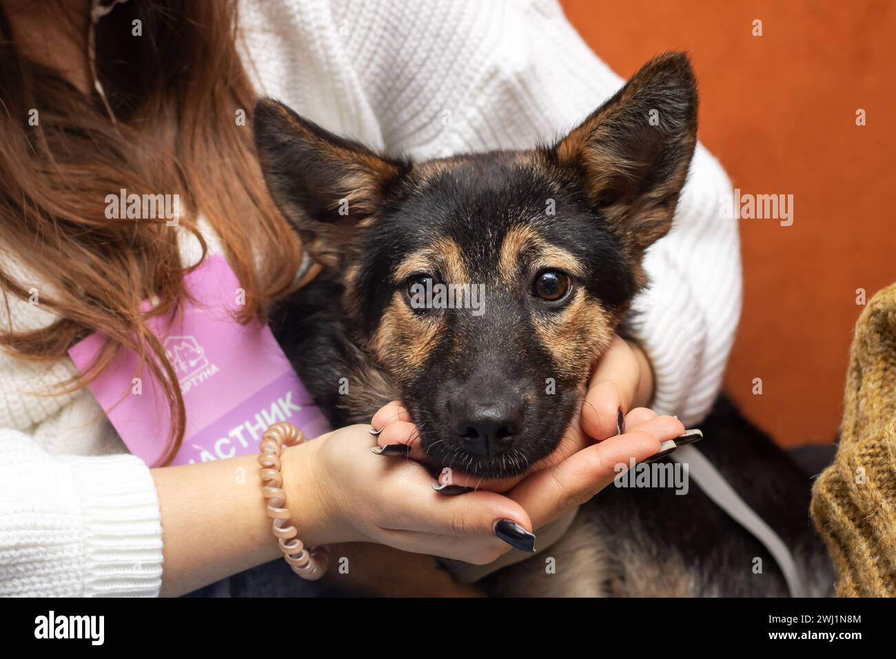 Neanimorphic hi-res stock photography and images - Alamy