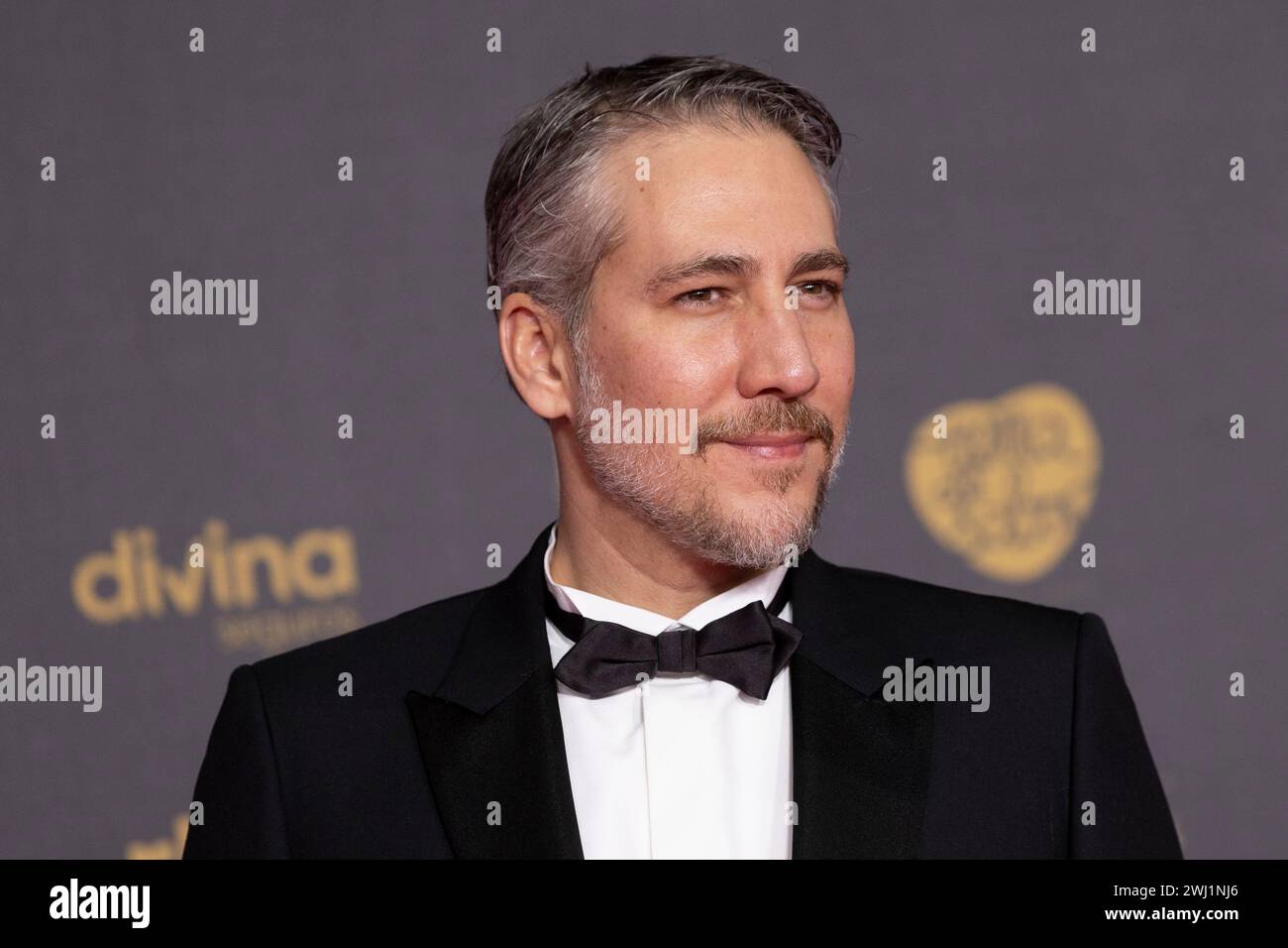 Alberto Ammann attended 'the red carpet at the Goya Awards 2024 ...