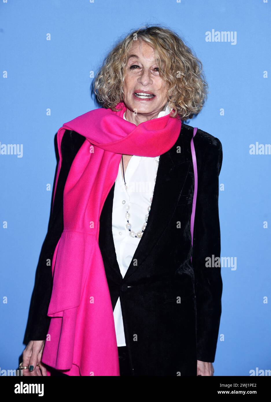 'Sophie's Choice' 40th Anniversary Screening at Museum of Modern Art ...