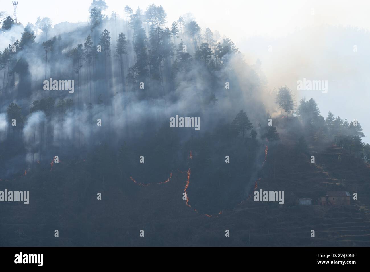 A wildfire burning a steep hillside in Nepal in the dry season with smoke reaching into the sky ...