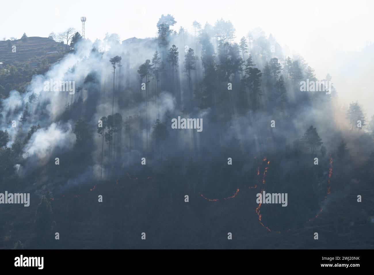 A wildfire burning a steep hillside in Nepal in the dry season with ...