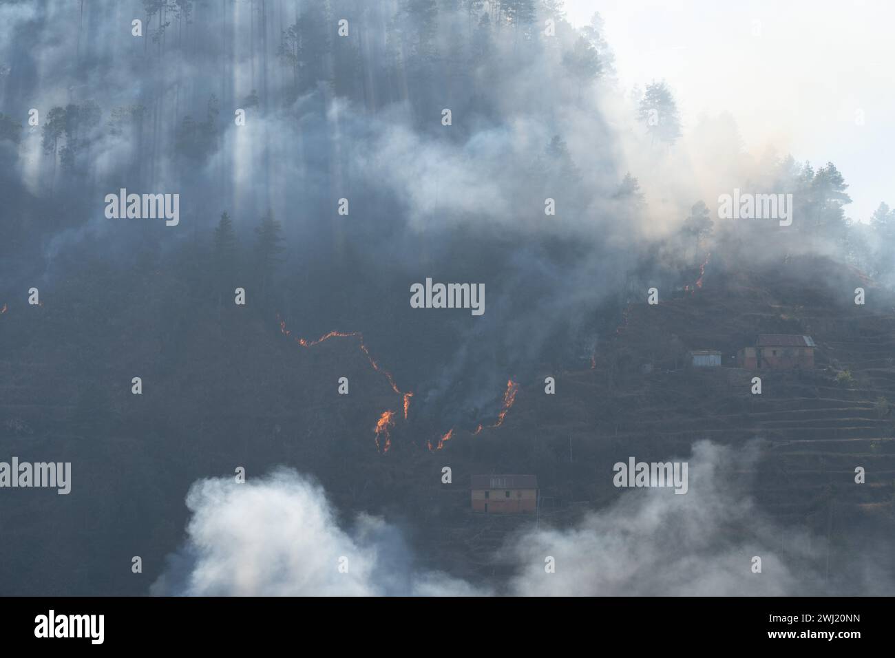 A wildfire burning a steep hillside in Nepal in the dry season with ...