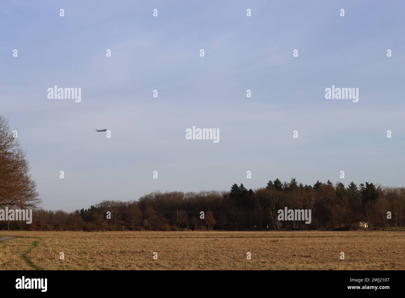 Airplane approaching Frankfurt Airport over the Schwanheim meadow Stock ...