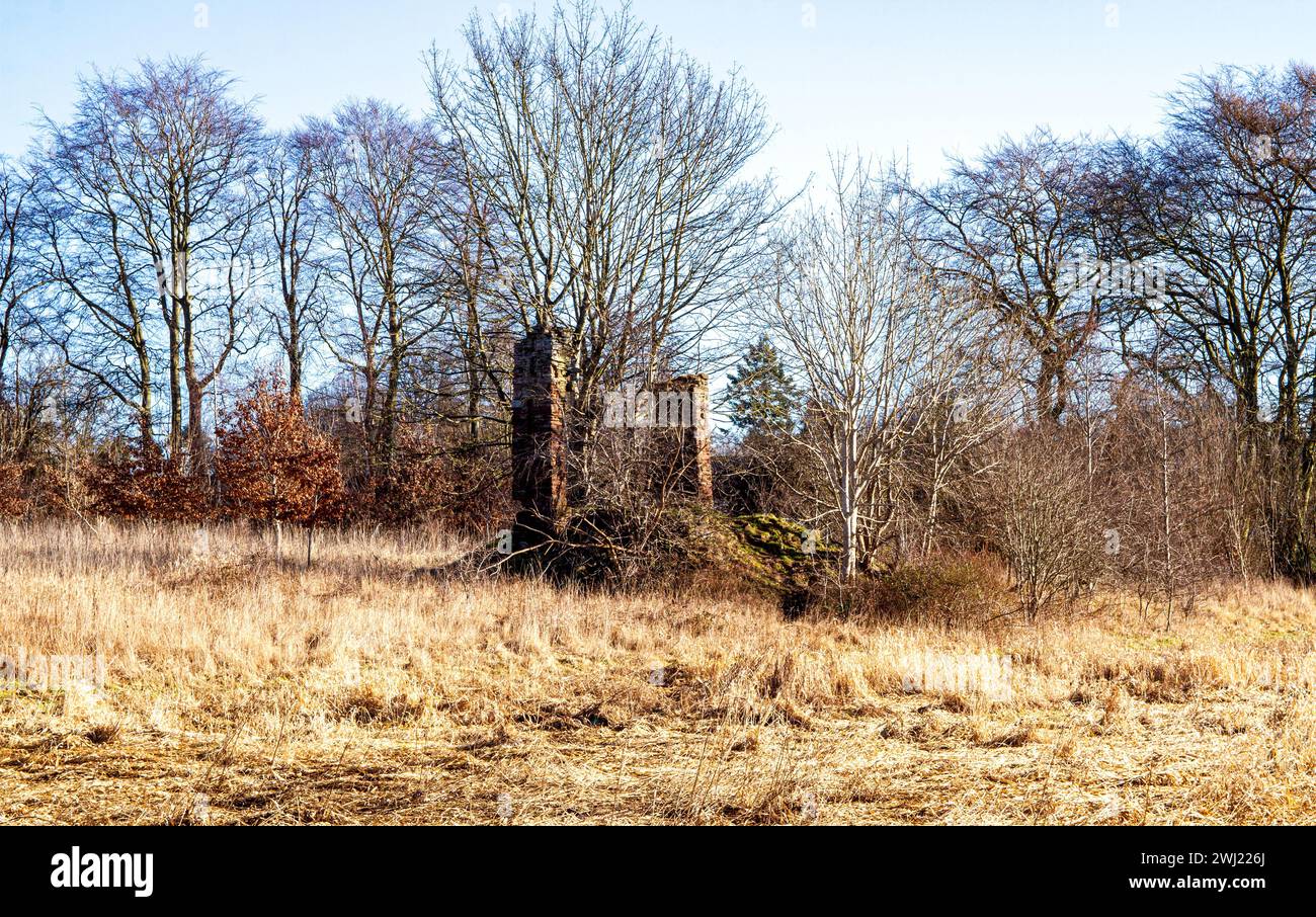 Beautiful winter sunshine at Trottick Wildlife and Nature Reserve in ...