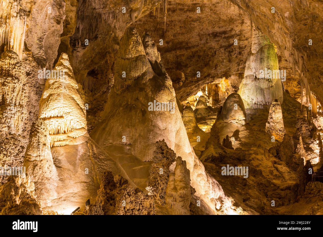 Carlsbad Caverns National Park is located in the US state of New Mexico ...