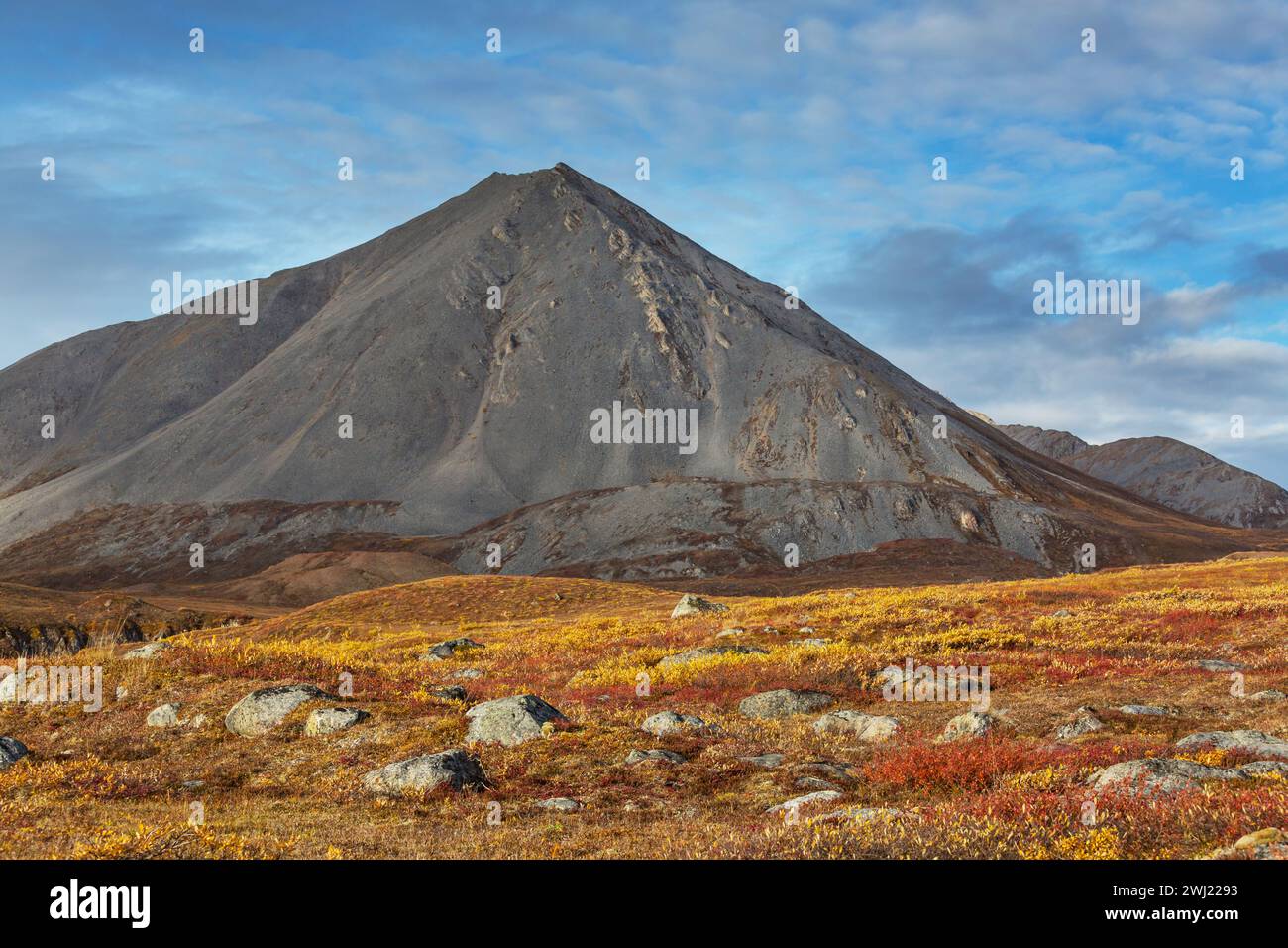 Mountains in tundra Stock Photo - Alamy