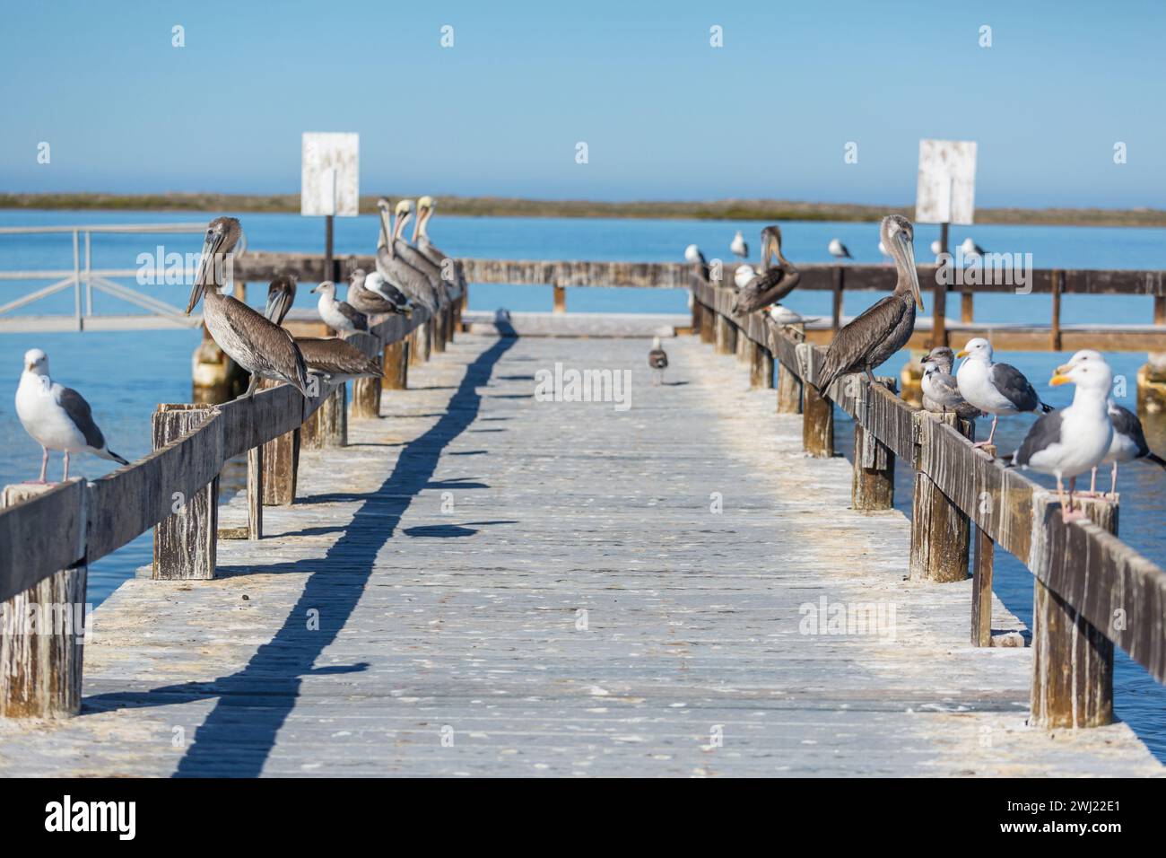 Picturesque landscape in the Mexican state of Baja California, Mexico ...