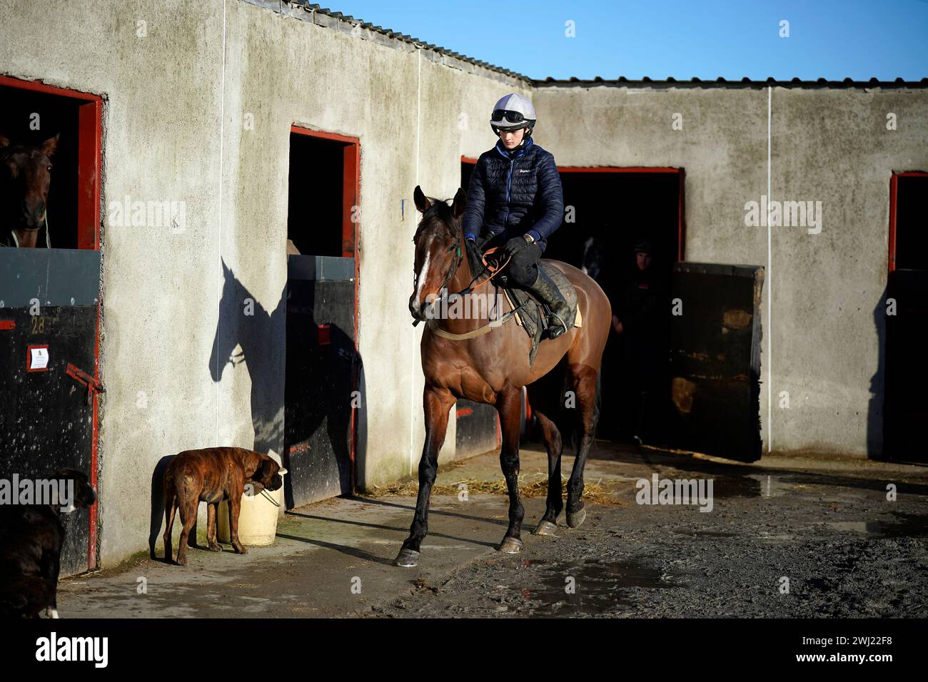 Jockey Paddy Hanlon on Hewick during a media day at Shark Hanlon's yard ...