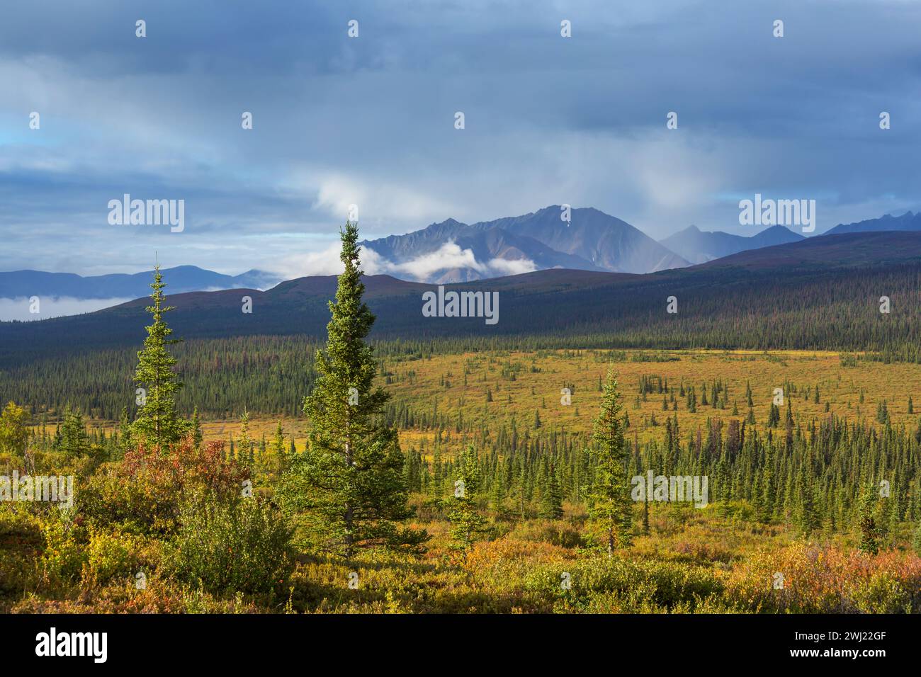 Pristine natural landscapes hi-res stock photography and images - Alamy
