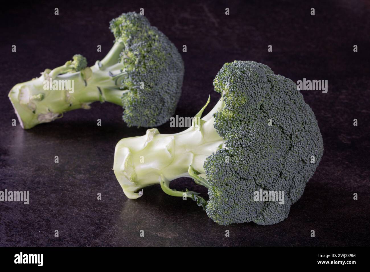 Two heads of fresh green broccoli on a solid black background. Isolated ...