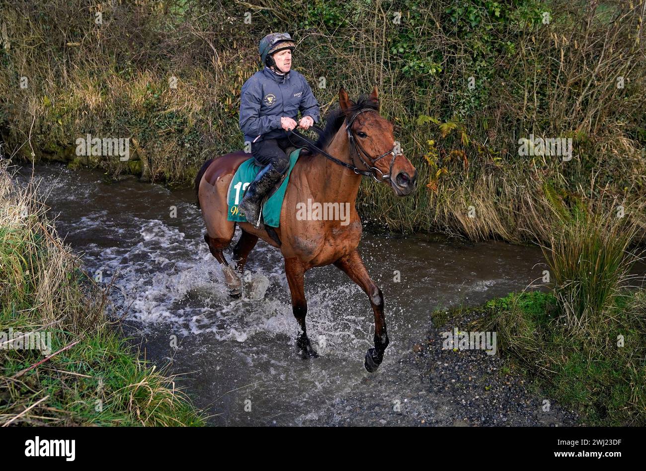 Ballyburn during a media day at Willie Mullins' yard in Closutton ...