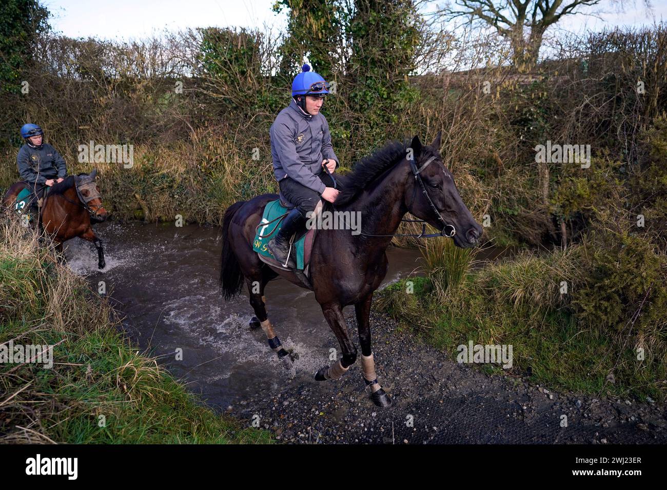 Galopin Des Champs ridden by groom Adam Connolly on the gallops during ...