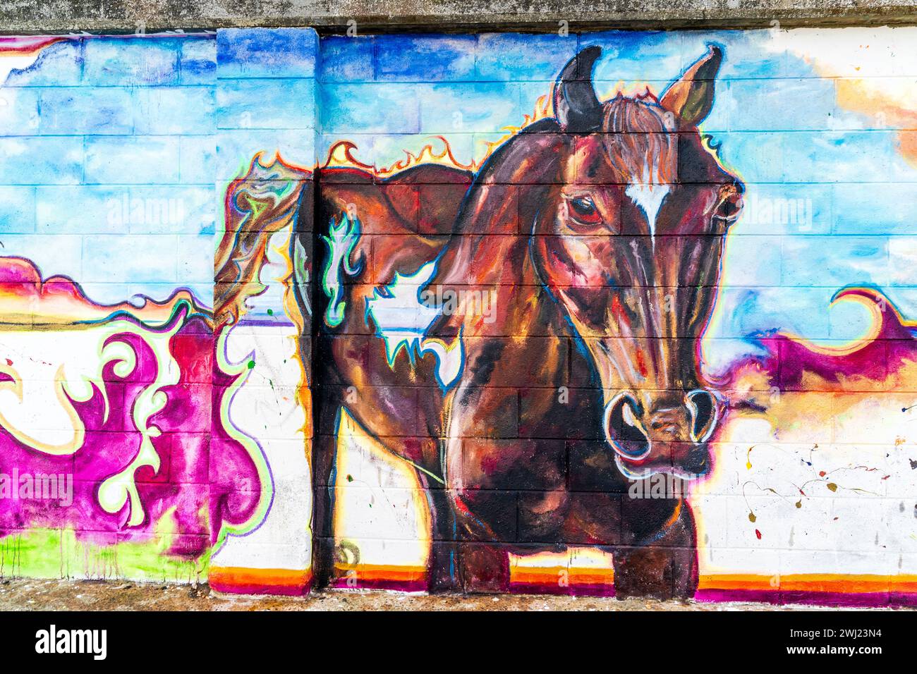 Graffiti painting on a wall left by an unknown young female artist. A ...