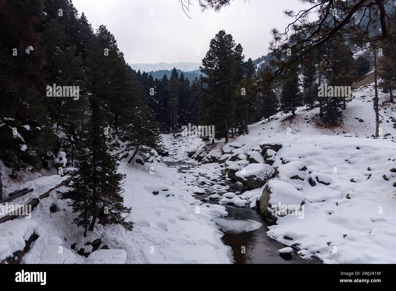 Baramulla, India. 12th Feb, 2024. A view of snow covered stream with a ...