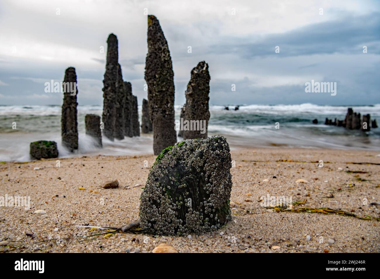 Old wooden piles hi-res stock photography and images - Alamy