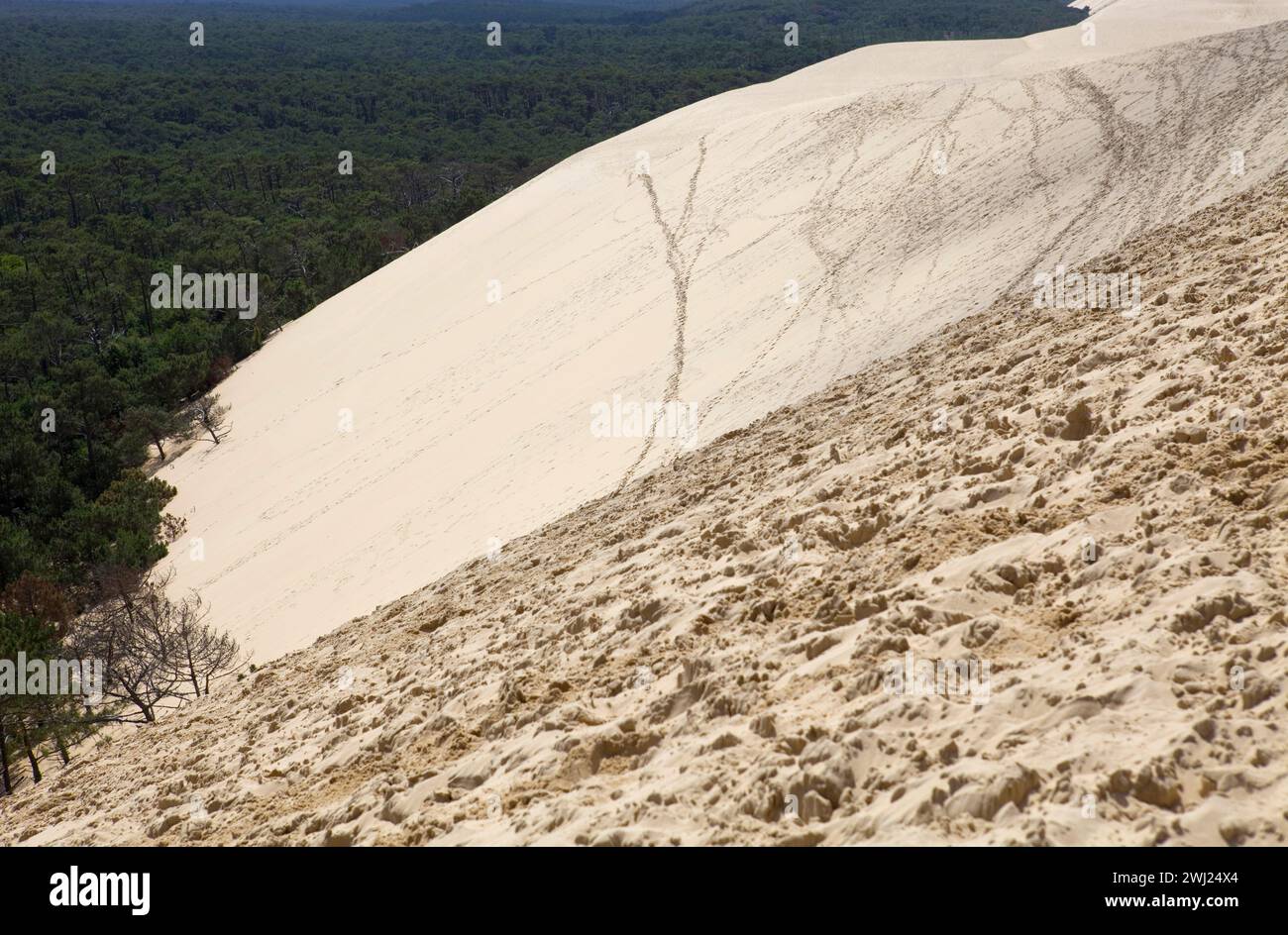 The Famous dune of Pyla, the highest sand dune in Europe, in Pyla Sur ...