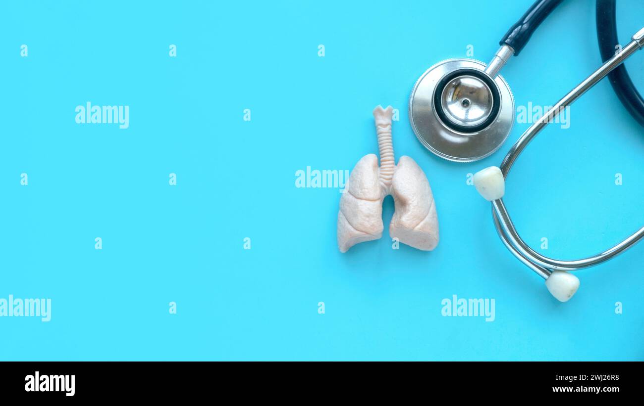 World pneumonia day,tuberculosis TB day,Lung Health Day,asthma day ...