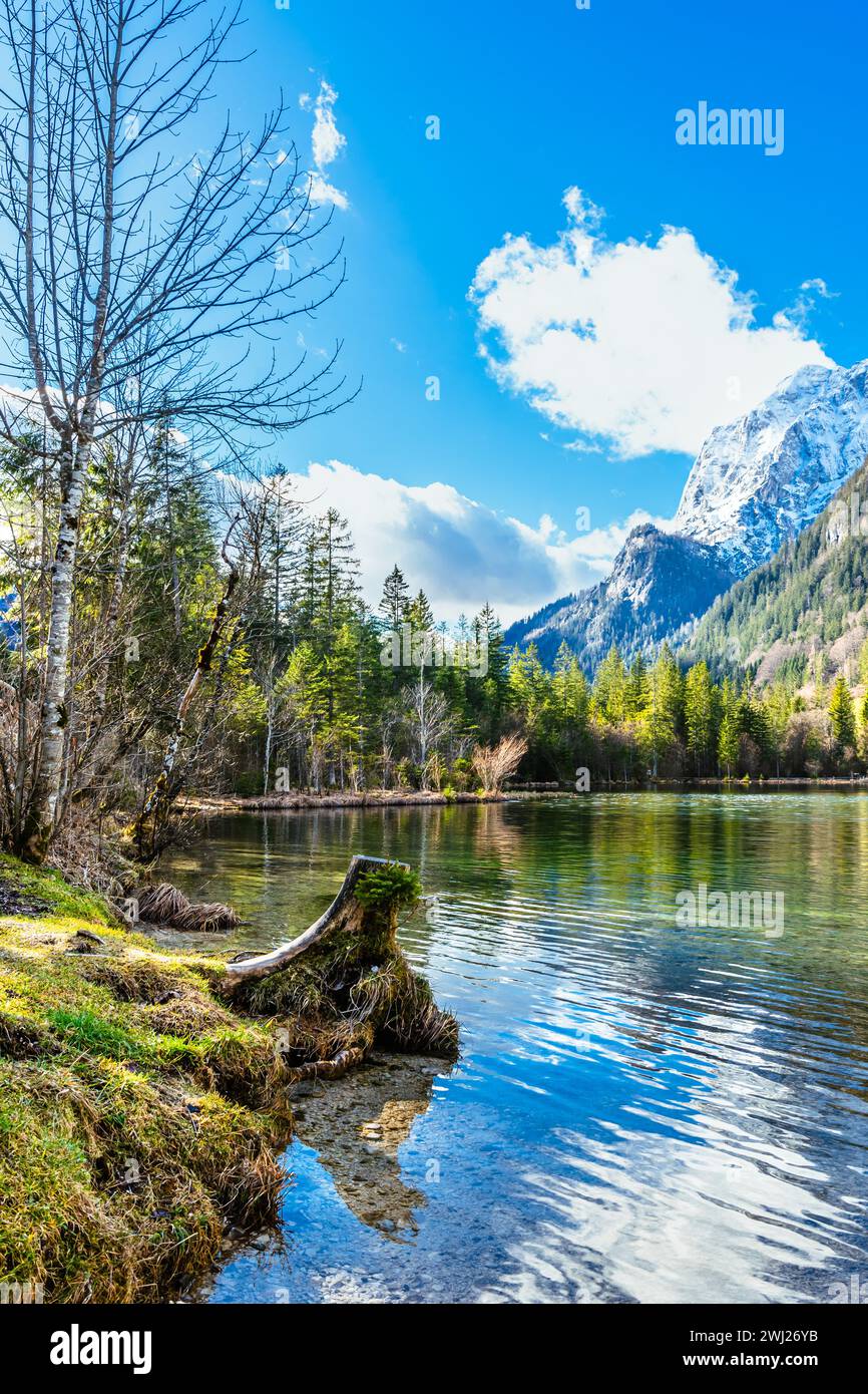 Lake Hintersee in Germany, Bavaria, Ramsau National Park in the Alps ...