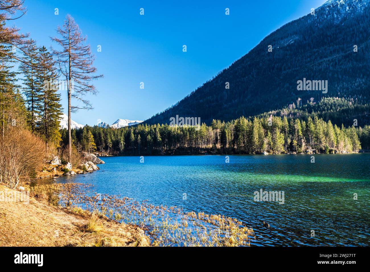 Lake Hintersee in Germany, Bavaria, Ramsau National Park in the Alps ...