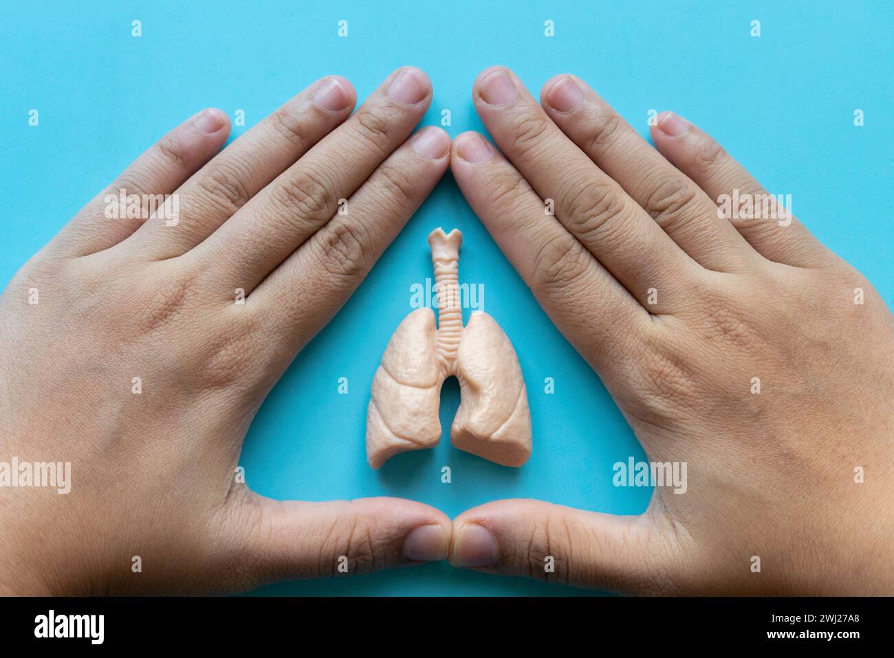 World pneumonia day,tuberculosis TB day,Lung Health Day,asthma day ...