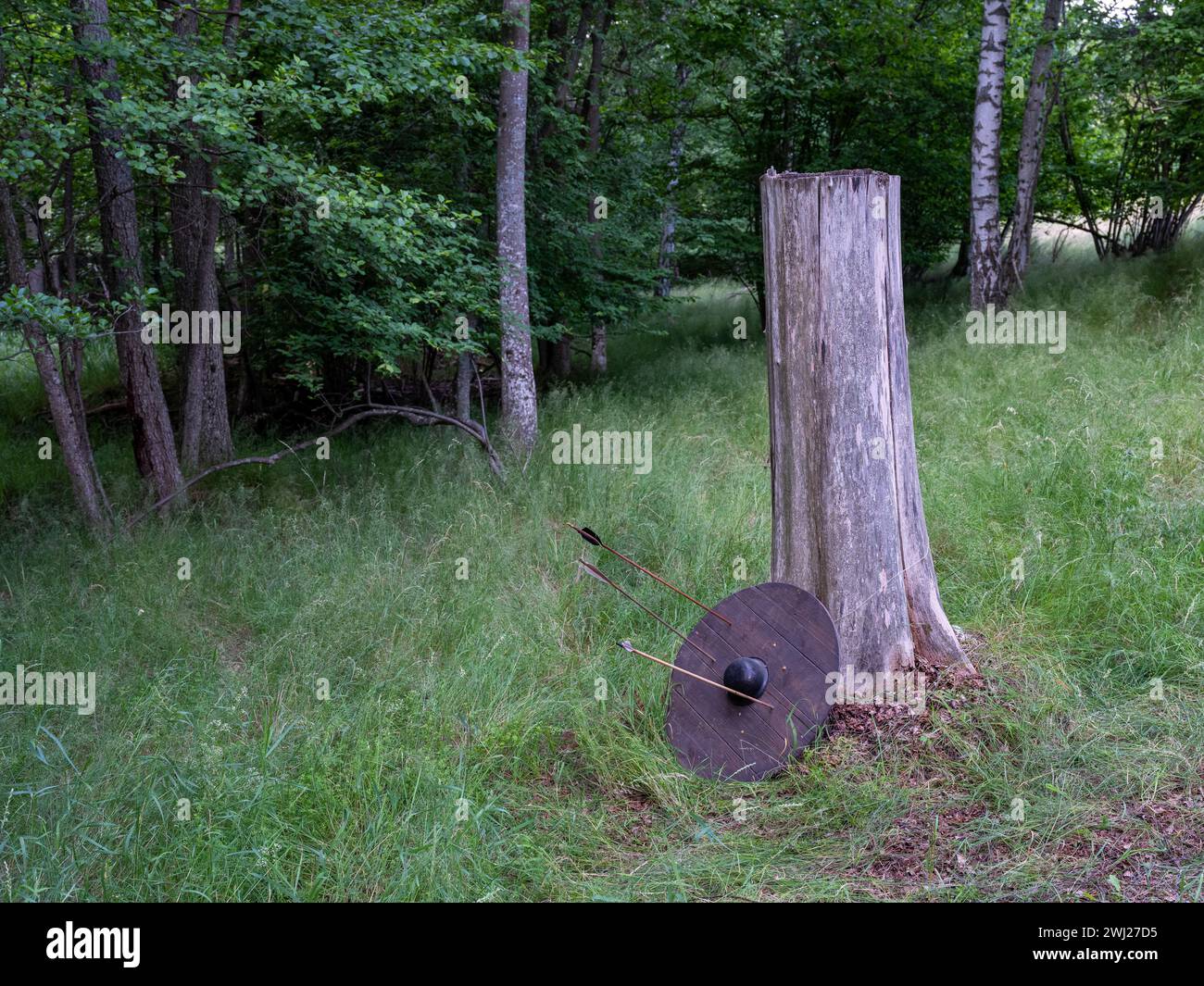 Viking arrows hi-res stock photography and images - Alamy