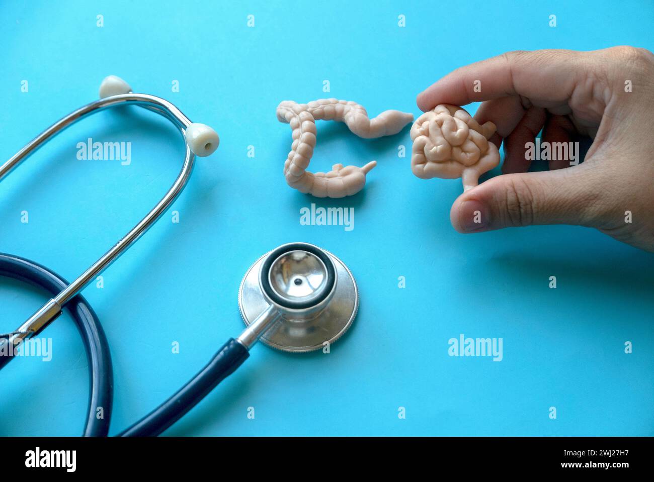 Concept of Colonic disease,Irritable bowel syndrome,Large Intestine ...