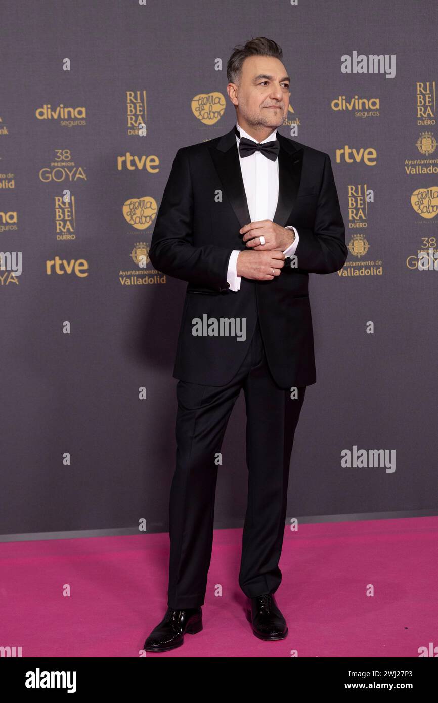 Madrid, Spain. 10th Feb, 2024. Juan Carlos Vellido attends 'the red carpet at the Goya Awards ...