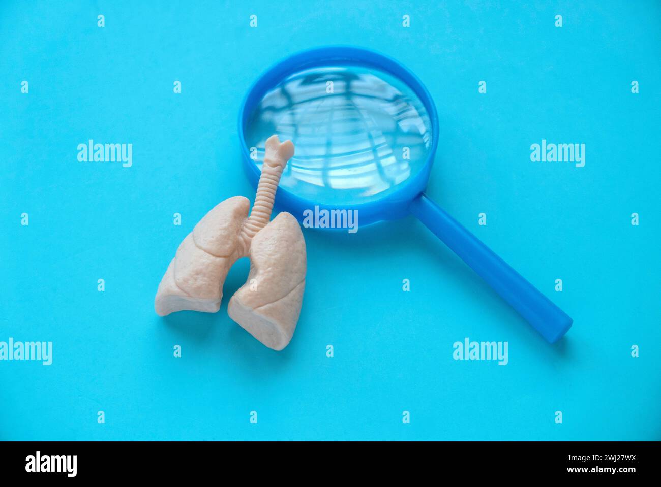 World pneumonia day,tuberculosis TB day,Lung Health Day,asthma day ...