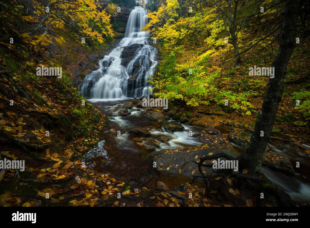 Fall Colors Surrounding Waterfall and Stream Stock Photo - Alamy